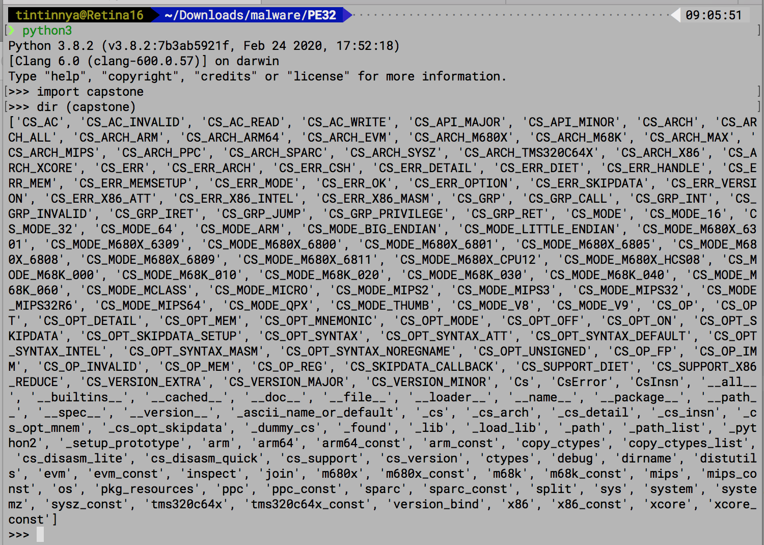 Disassembling Binary File with Python on Mac – TinTinNya